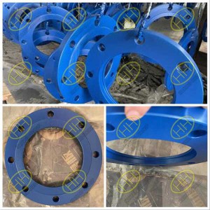 Blue Butterfly Valve Flange | China Hebei Haihao Flange Factory