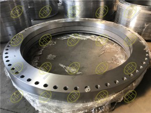 Seamless rolled ring forging process | China Hebei Haihao Flange Factory