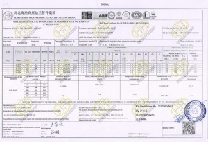 Certificate of classification society | China Hebei Haihao Flange Factory
