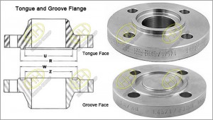 Types of flange sealing surface-FF,RF,RTG,TG | China Hebei Haihao ...